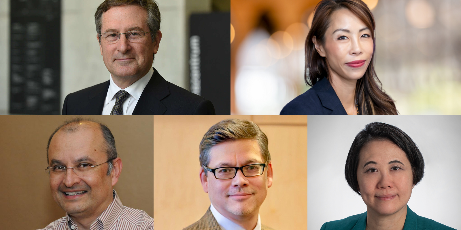 Introducing our new Scientific Committee members | Cancer Grand Challenges