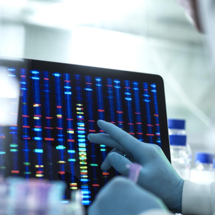 Our process | Cancer Grand Challenges