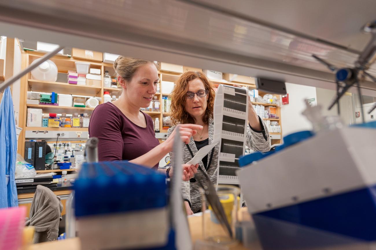 Active challenges | Cancer Grand Challenges