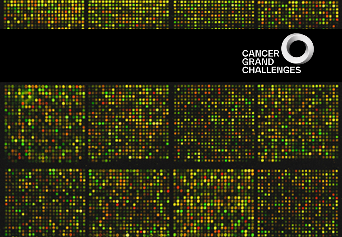 A comprehensive map of cancer genomes and chromosomal changes | Cancer ...